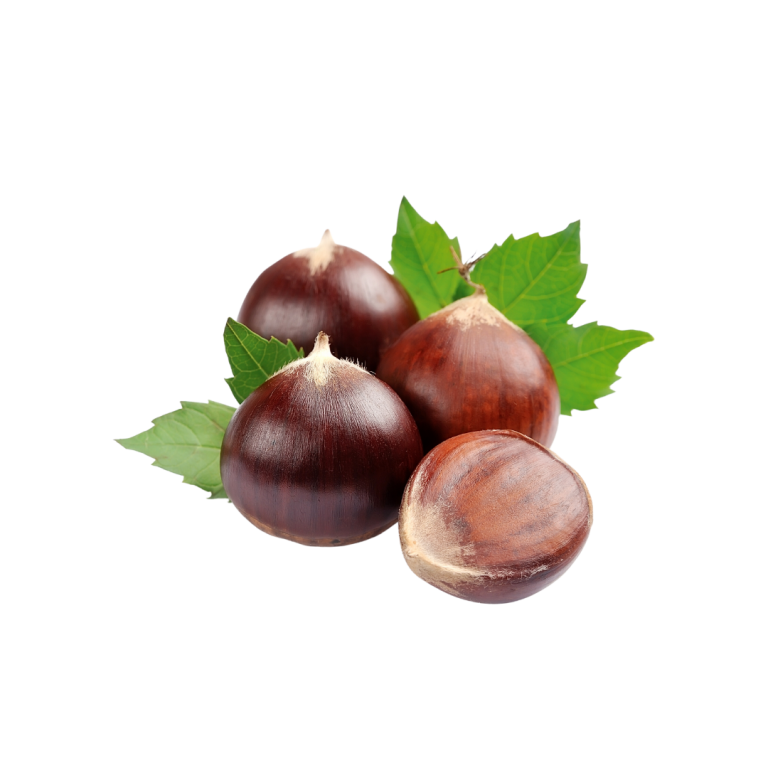 Kestane – Uvafruit